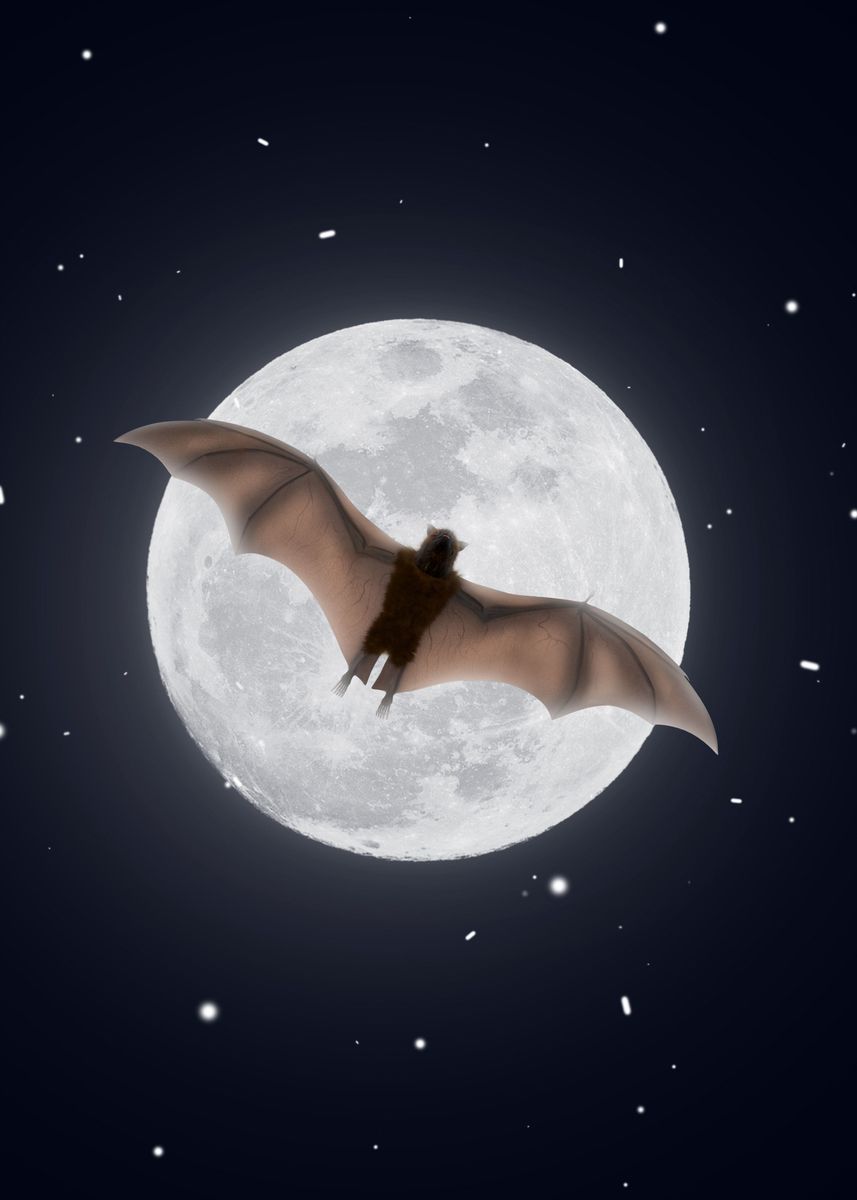 'Bat In Moon' Poster, picture, metal print, paint by Renjith Asokan ...