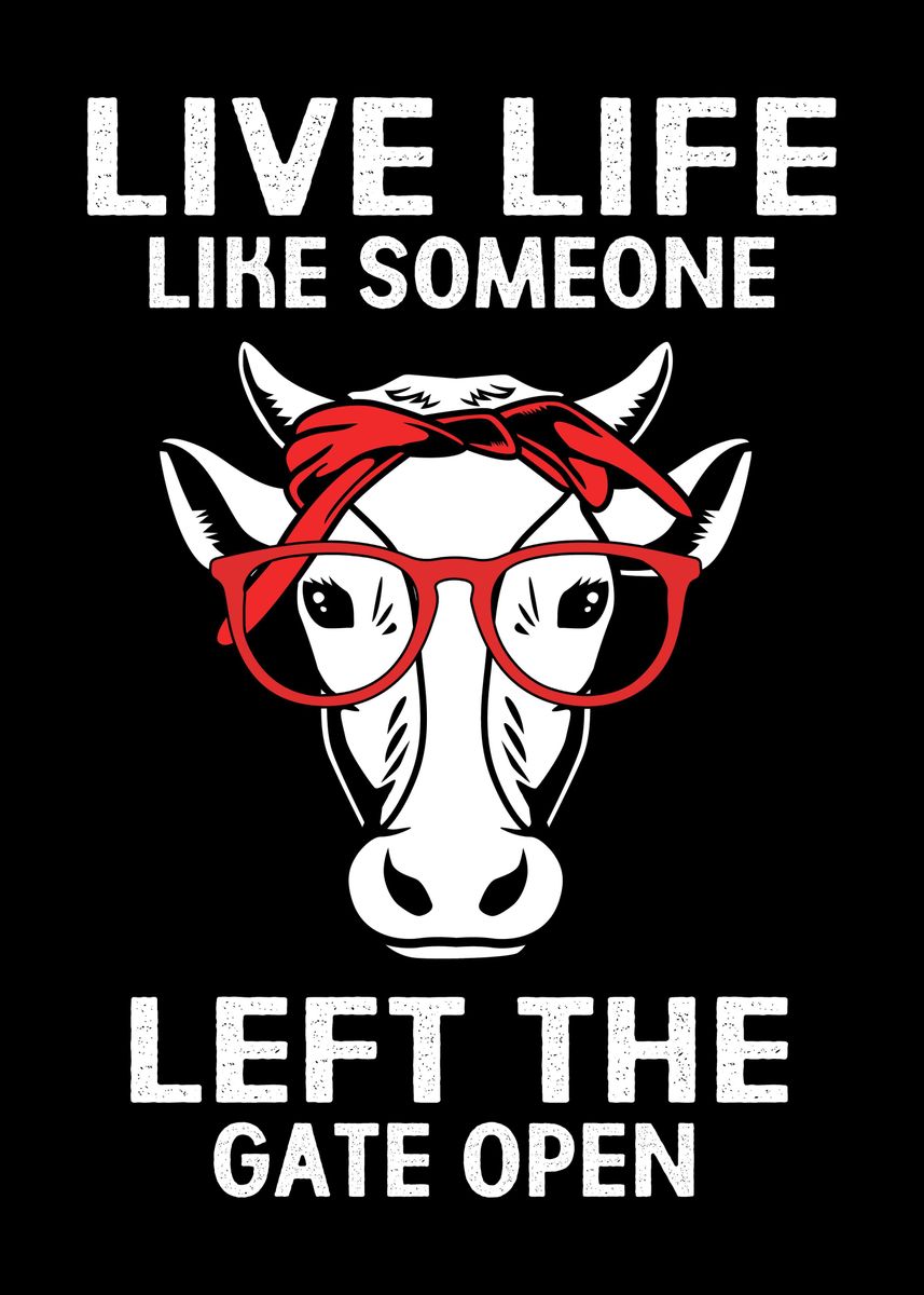 'Funny Cow Heifer' Poster by FunnyGifts | Displate