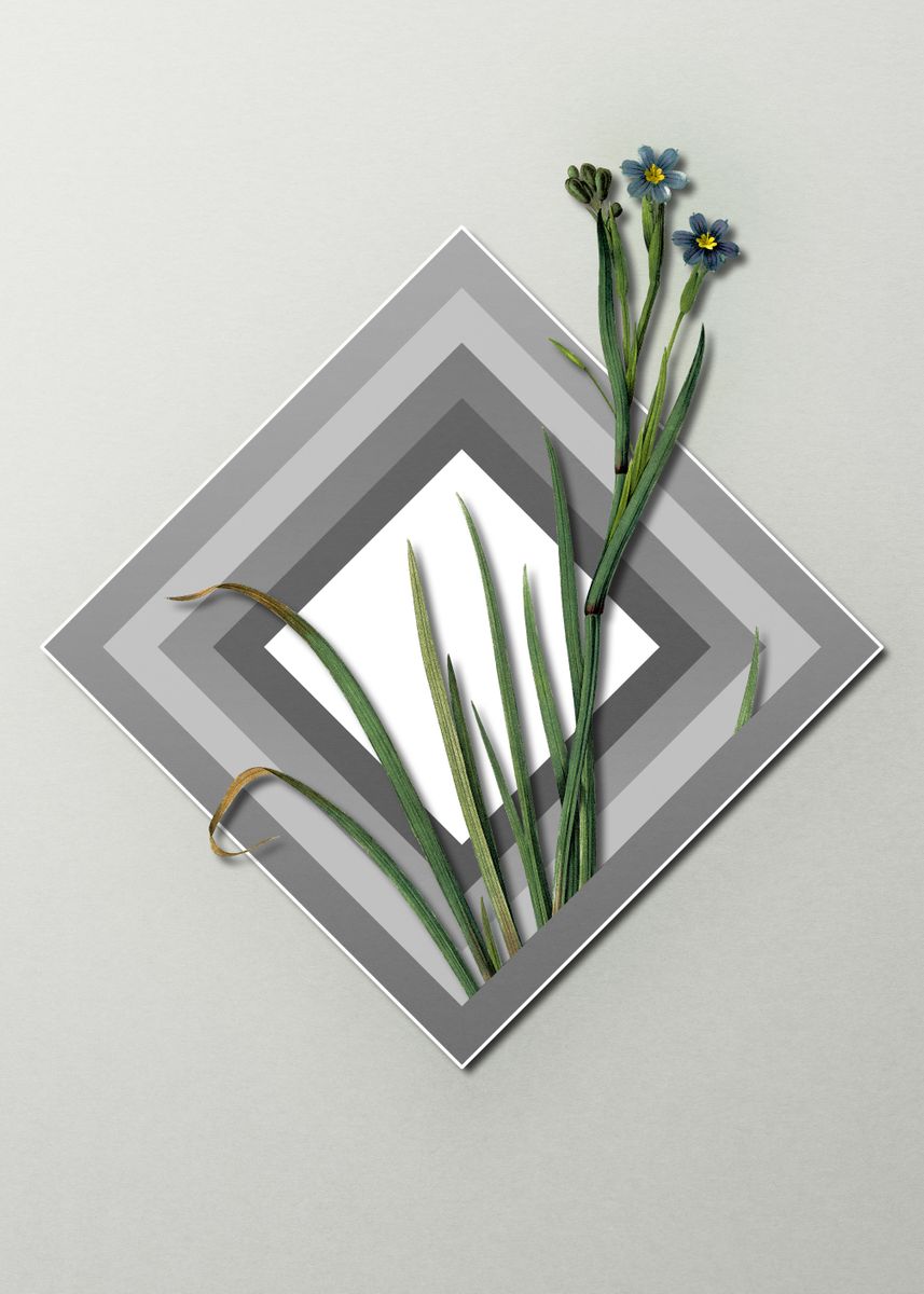 'Florals on Paper Diamonds' Poster by Holy Rock Design | Displate