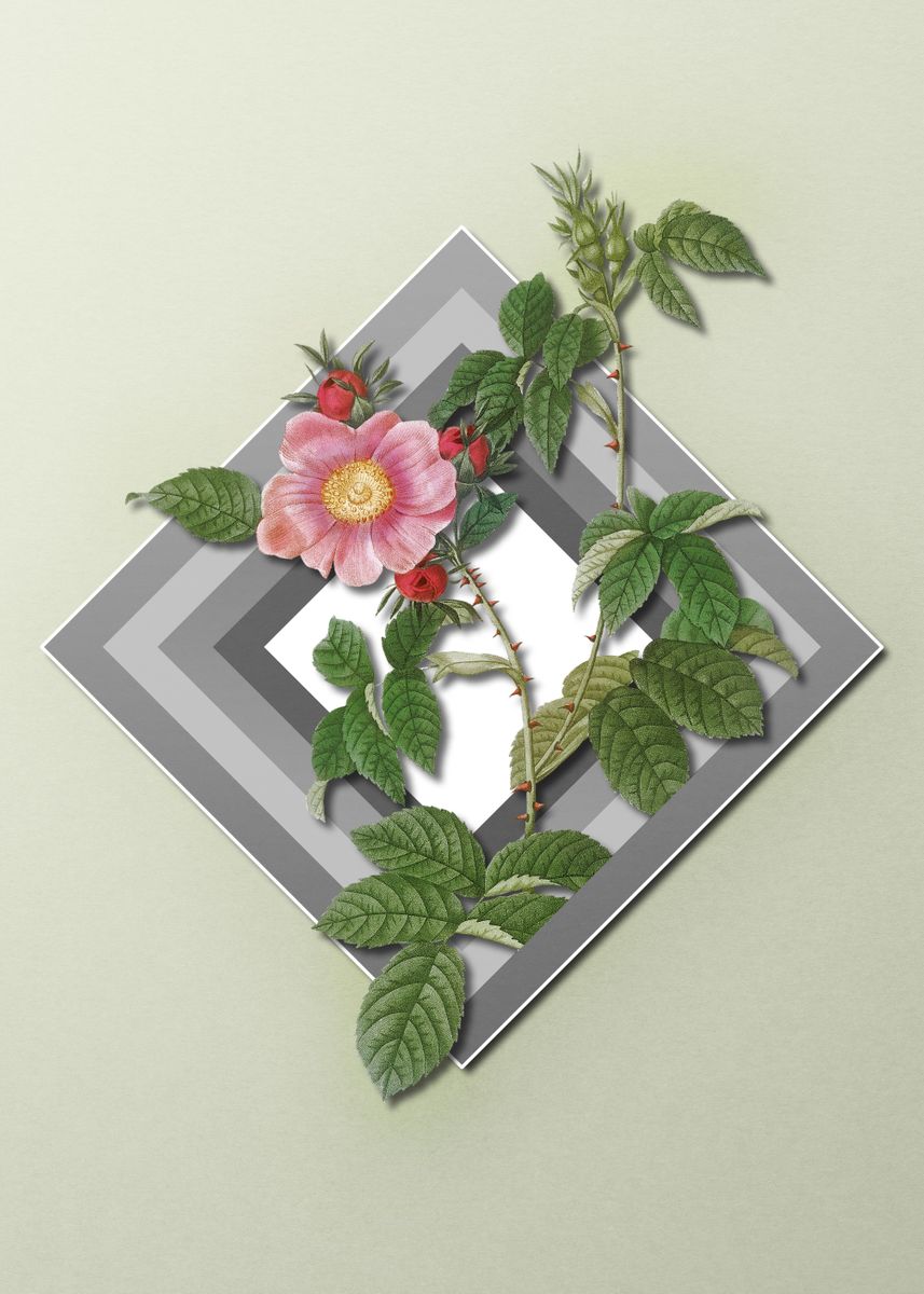 'Roses on Paper Diamonds' Poster, picture, metal print, paint by Holy ...