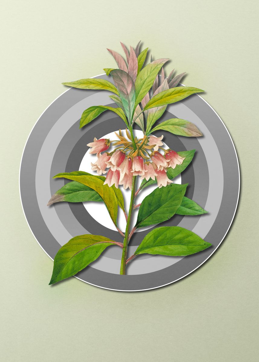 'Flowers on Paper Shield' Poster, picture, metal print, paint by Holy ...