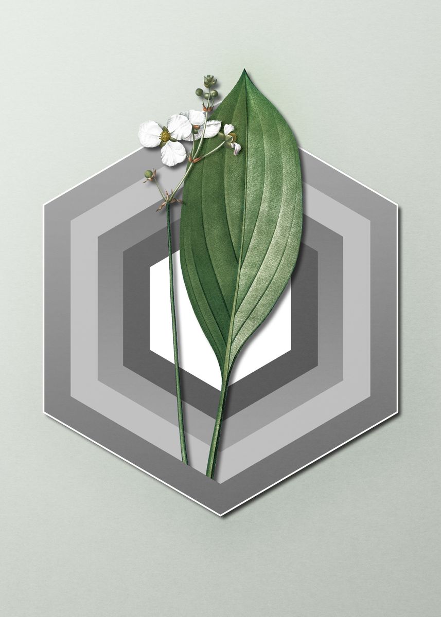 'Geometric Floral Arrowhead' Poster, picture, metal print, paint by ...