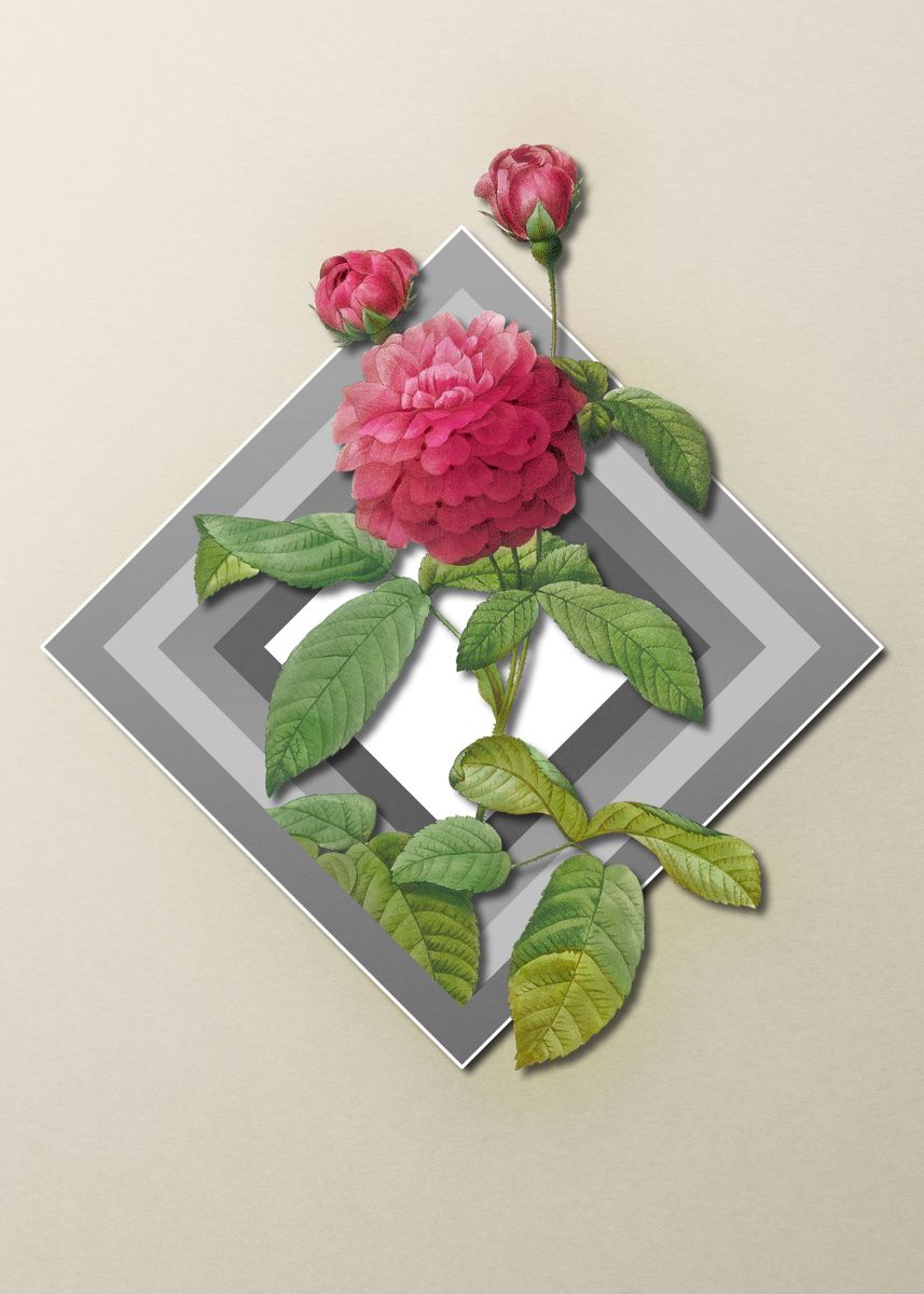'Geometric Agatha Rose' Poster, picture, metal print, paint by Holy ...