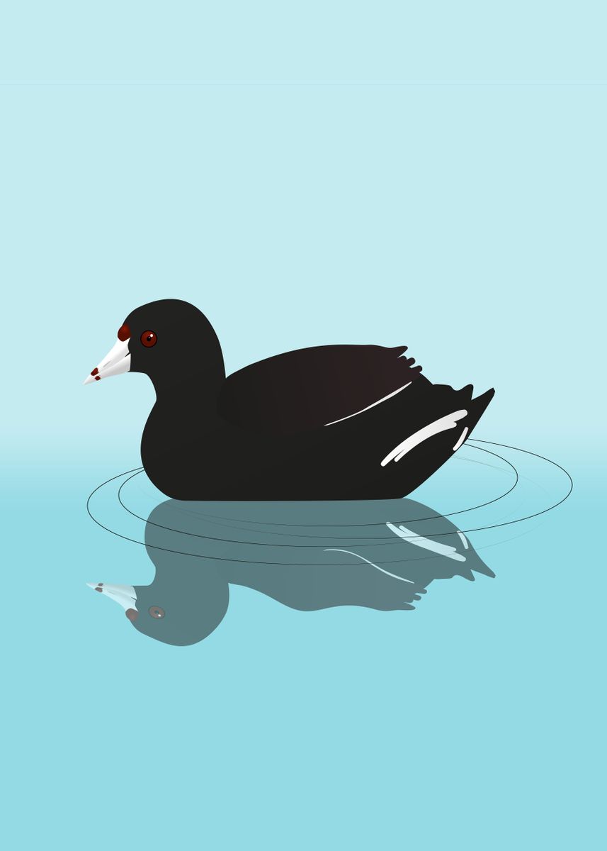 'American coot' Poster, picture, metal print, paint by Bianca Wisseloo ...