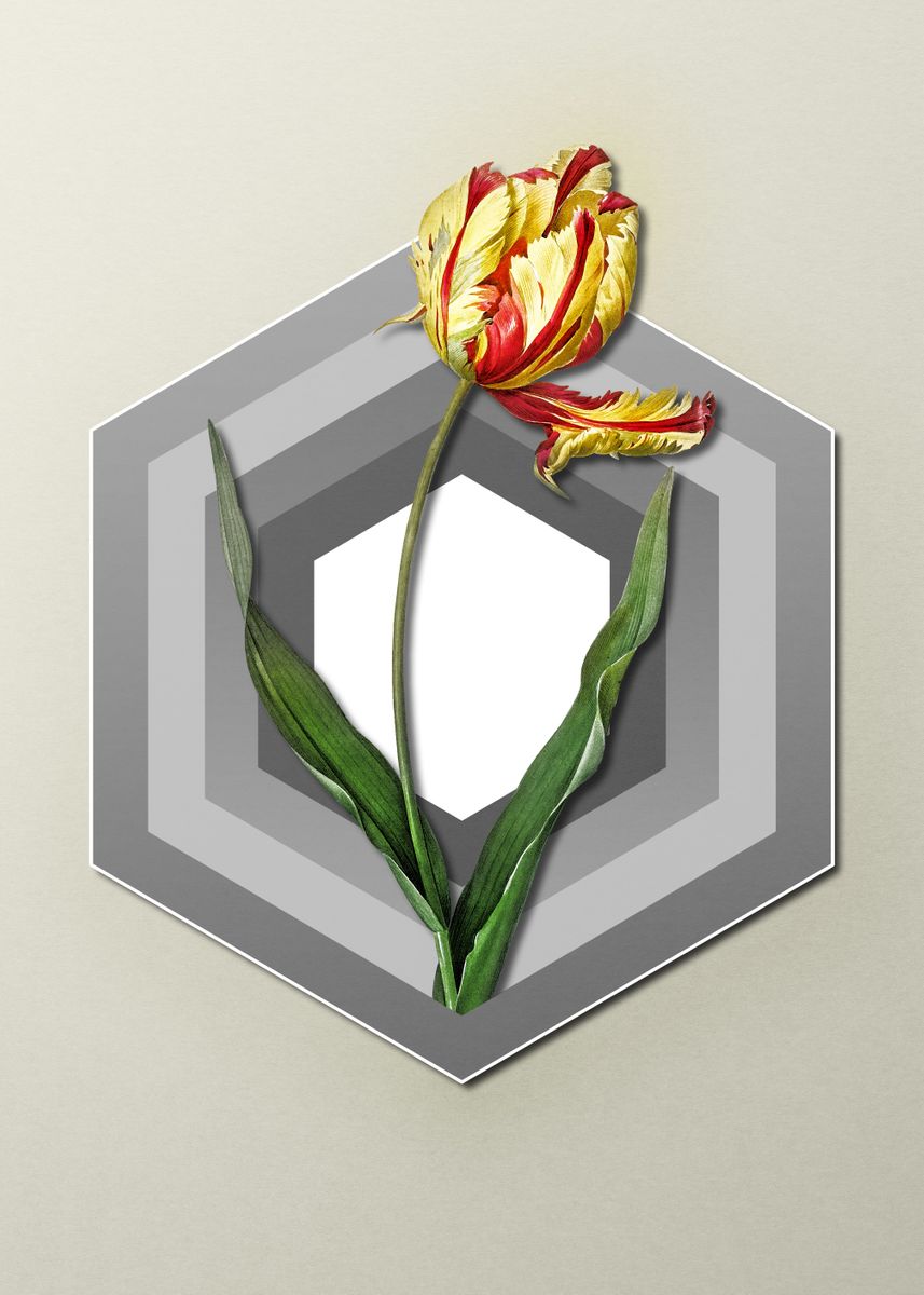 'Tulip On Paper Shield' Poster, picture, metal print, paint by Holy ...