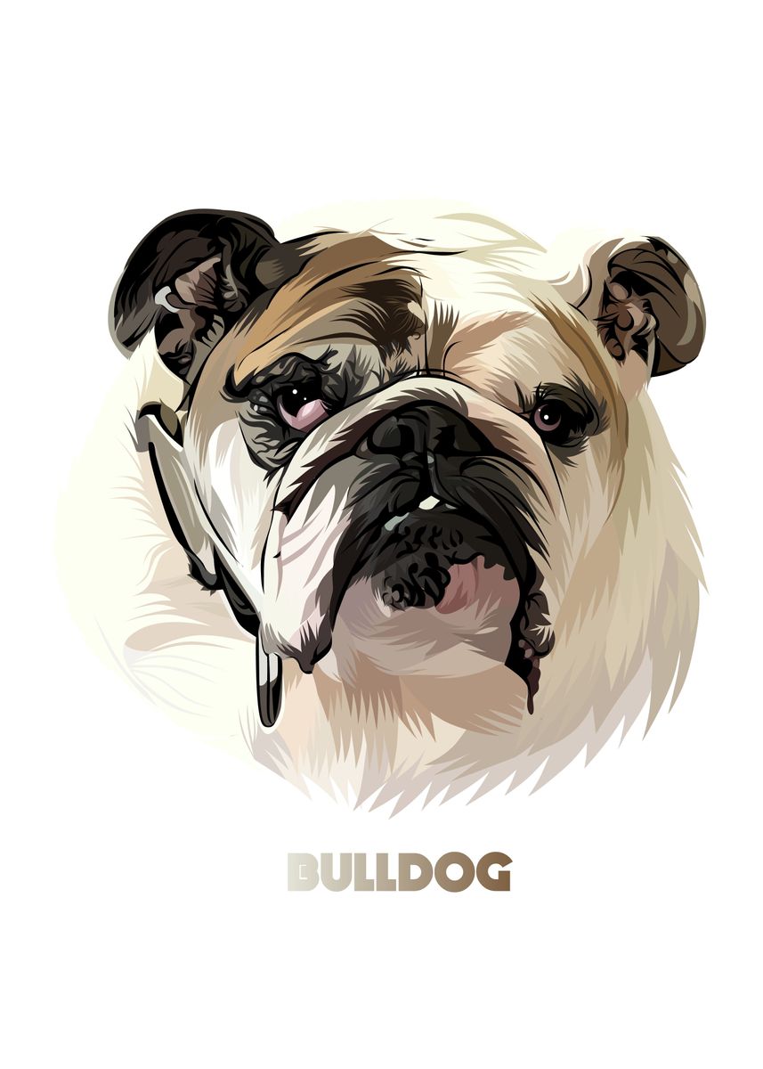 'Bulldog' Poster, picture, metal print, paint by Muh Aslan | Displate