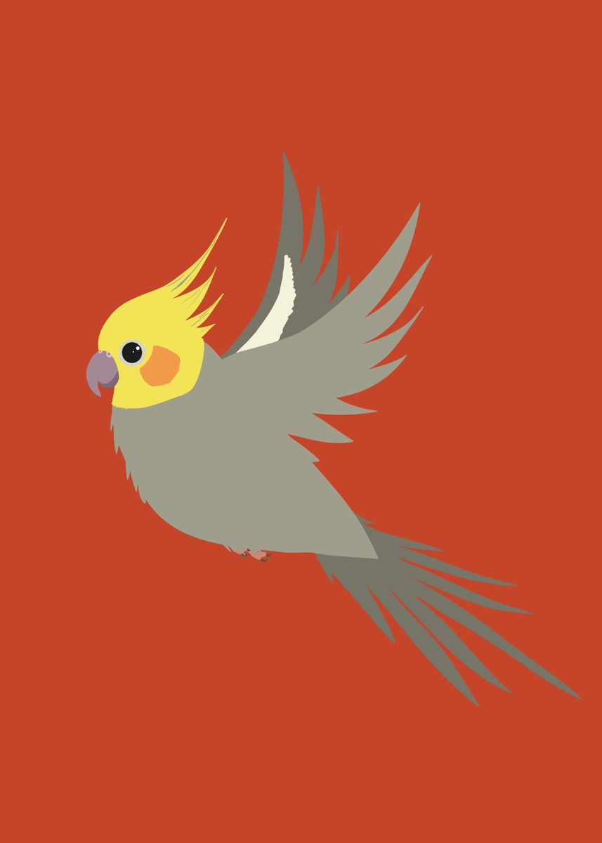 'Flying cockatiel' Poster, picture, metal print, paint by Bianca ...