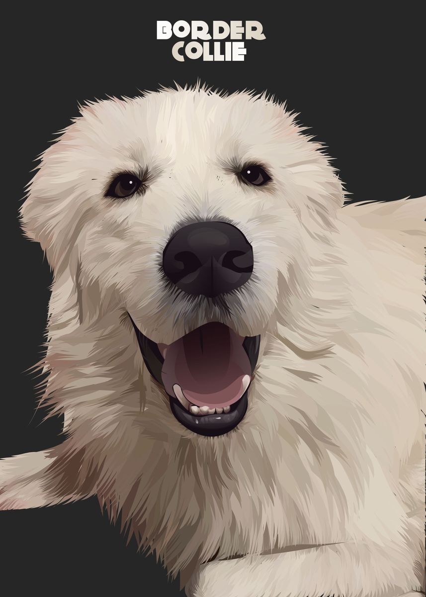 'Border Collie' Poster by Muh Aslan | Displate