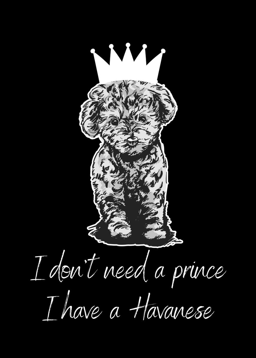 'HAVANESE PRINCE QUOTE' Poster, picture, metal print, paint by Lukes ...