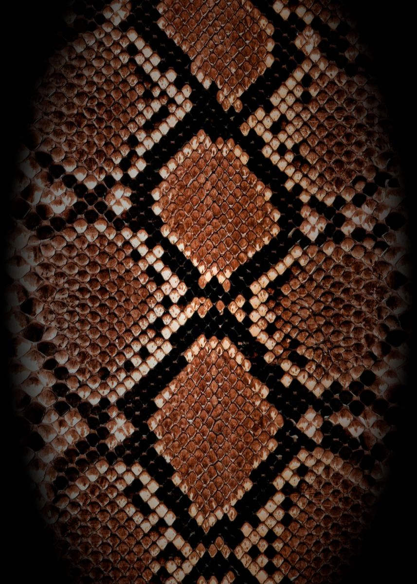 'Snake Animal Print' Poster, picture, metal print, paint by Helios ...