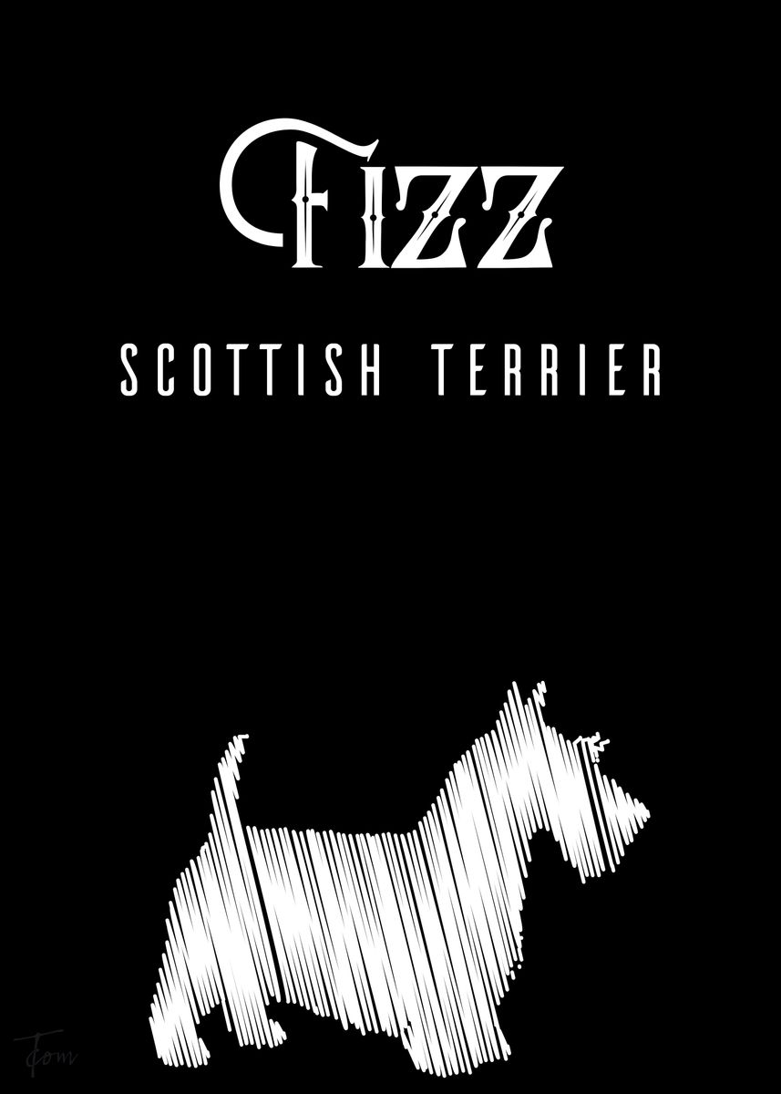 'Fizz' Poster, picture, metal print, paint by Petra Rommelfanger | Displate