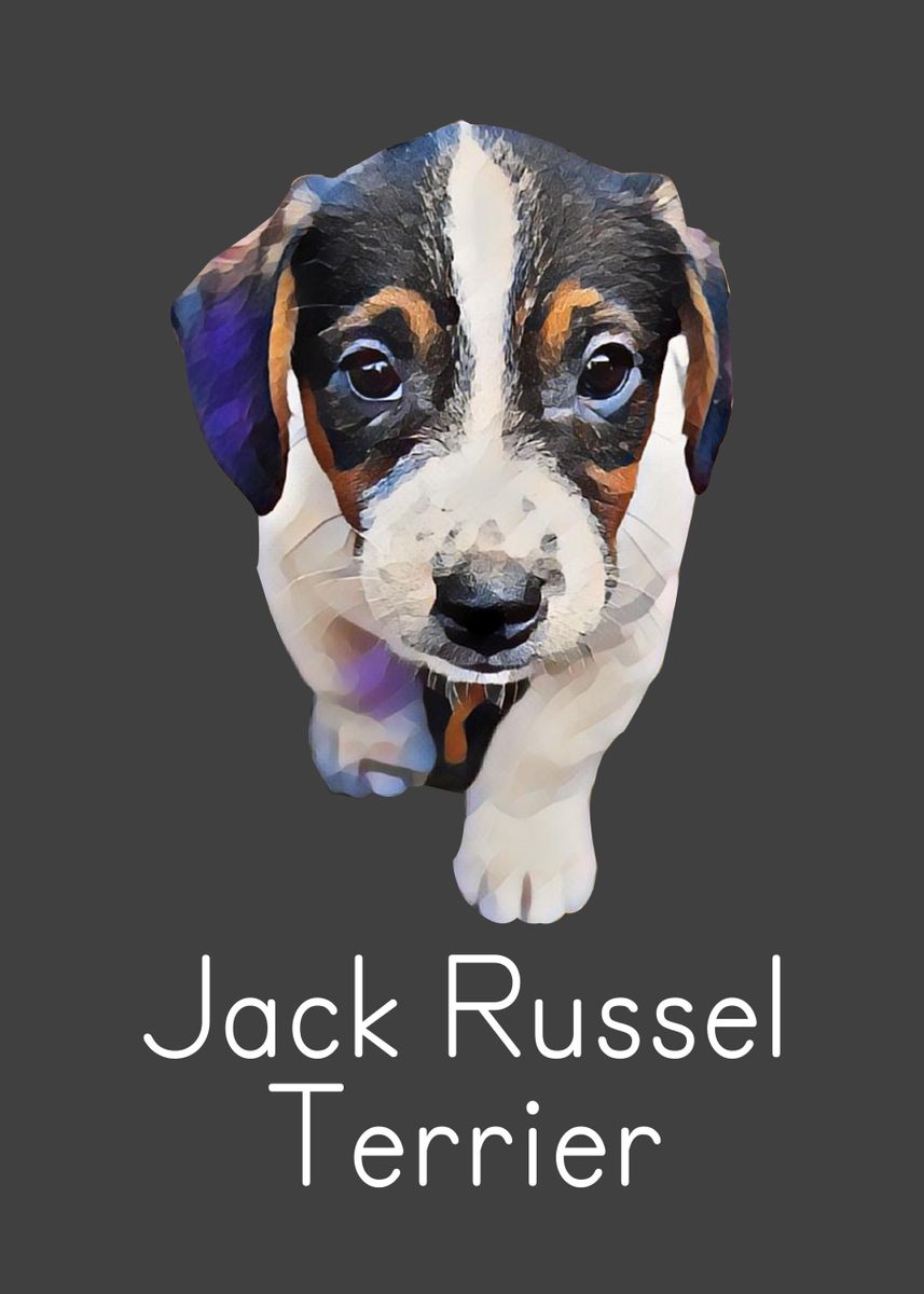 'Dog Jack Russell Terrier' Poster, picture, metal print, paint by ...