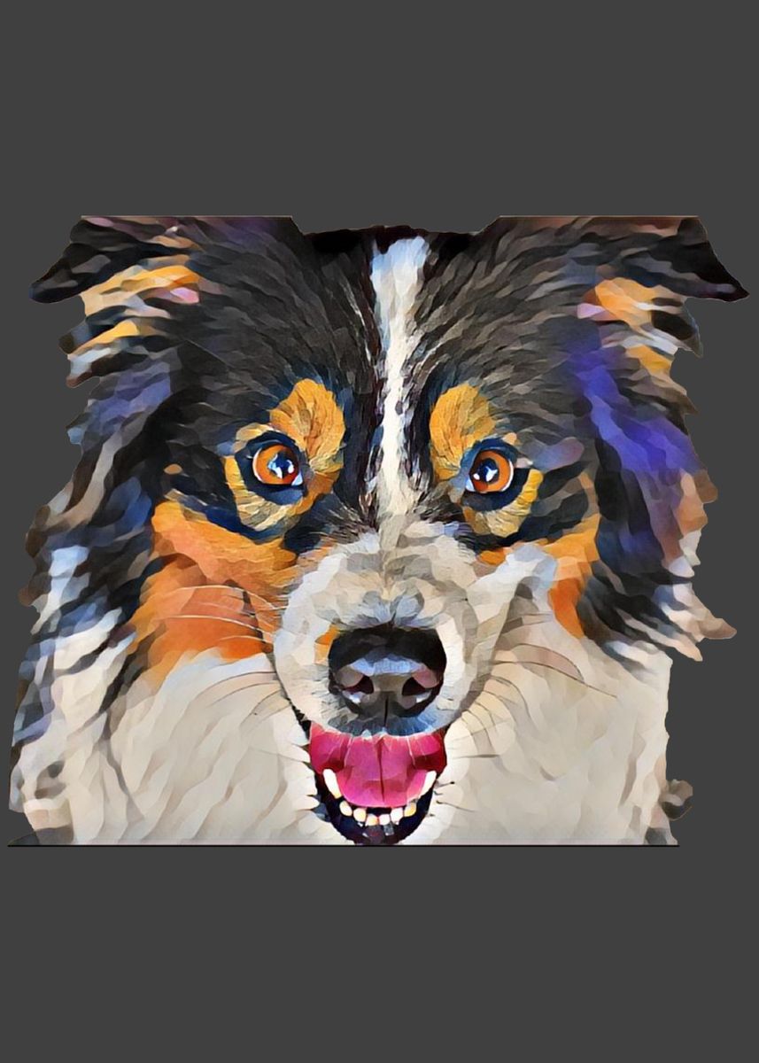 'Dog Australian Shepherd' Poster, picture, metal print, paint by ...