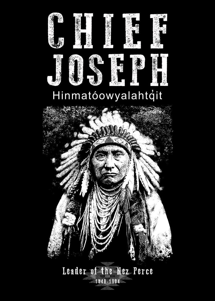 'Chief Joseph Indian' Poster, picture, metal print, paint by Carlos ...