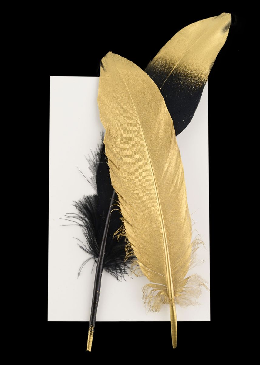 'Gold and black Feather' Poster, picture, metal print, paint by Max ...