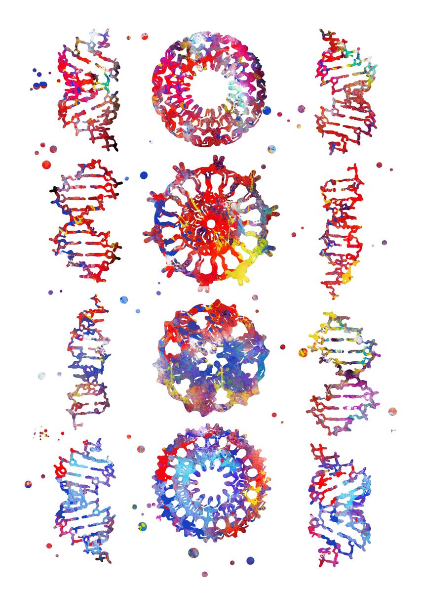 'DNA molecule ' Poster, picture, metal print, paint by RosaliasArt ...