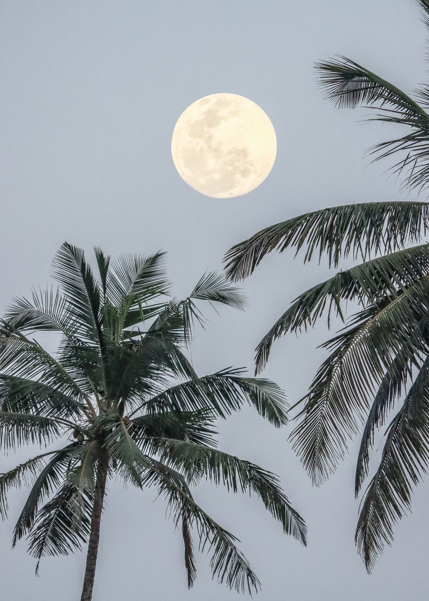 'Full Moon' Poster, picture, metal print, paint by Victoria Frost ...