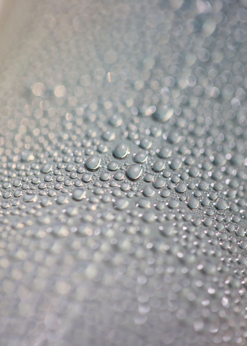 'Water droplets close up' Poster, picture, metal print, paint by ...