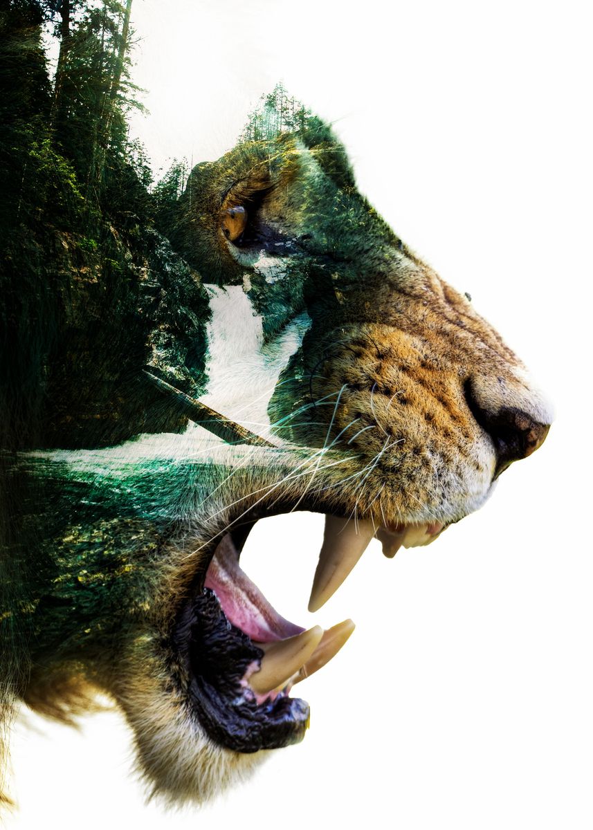 'Lion Double Exposure' Poster, picture, metal print, paint by Tariq ...