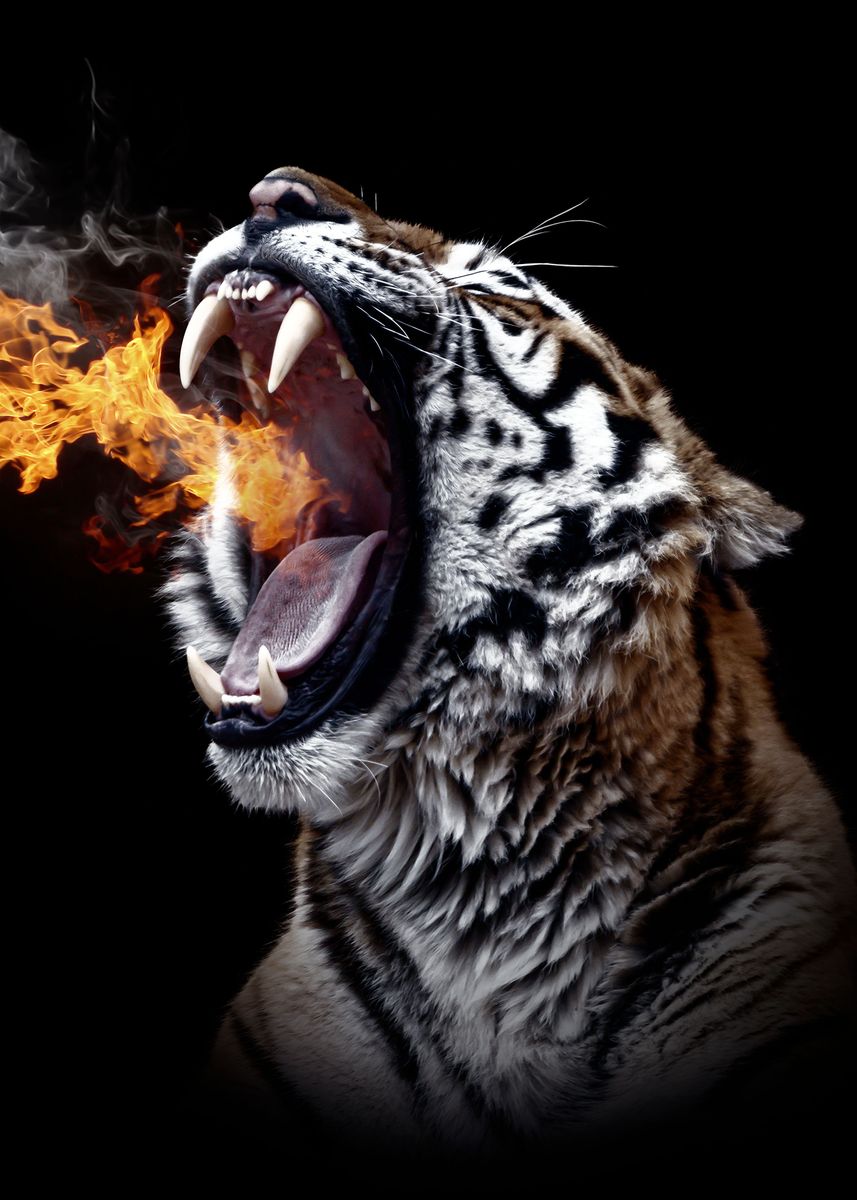 'wild tiger on fire artwork' Poster, picture, metal print, paint by mk ...