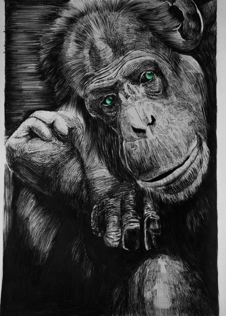 'Chimp the thinker' Poster, picture, metal print, paint by Ishan Mishra ...