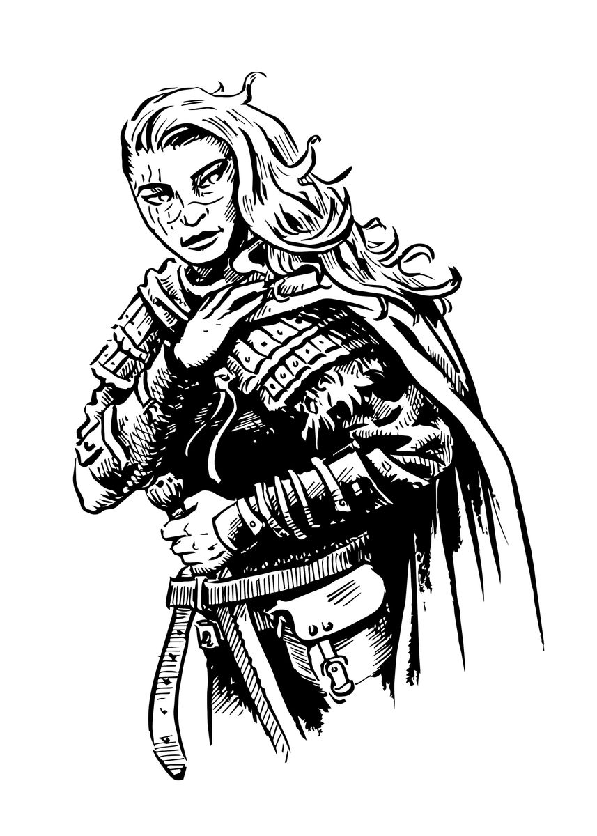 'Shieldmaiden' Poster, picture, metal print, paint by Harm van Schaik ...