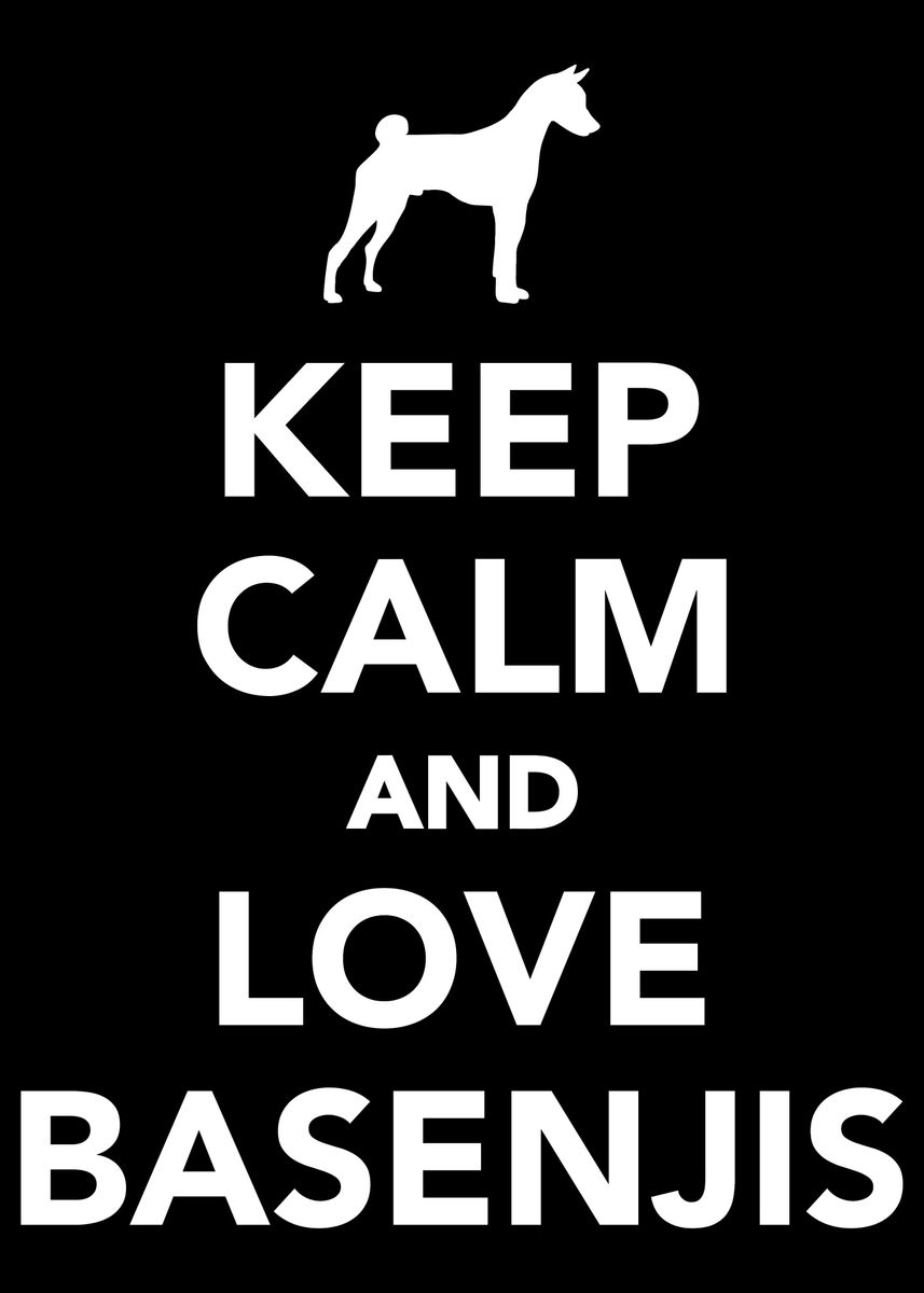 'Basenji' Poster, picture, metal print, paint by Designzz | Displate