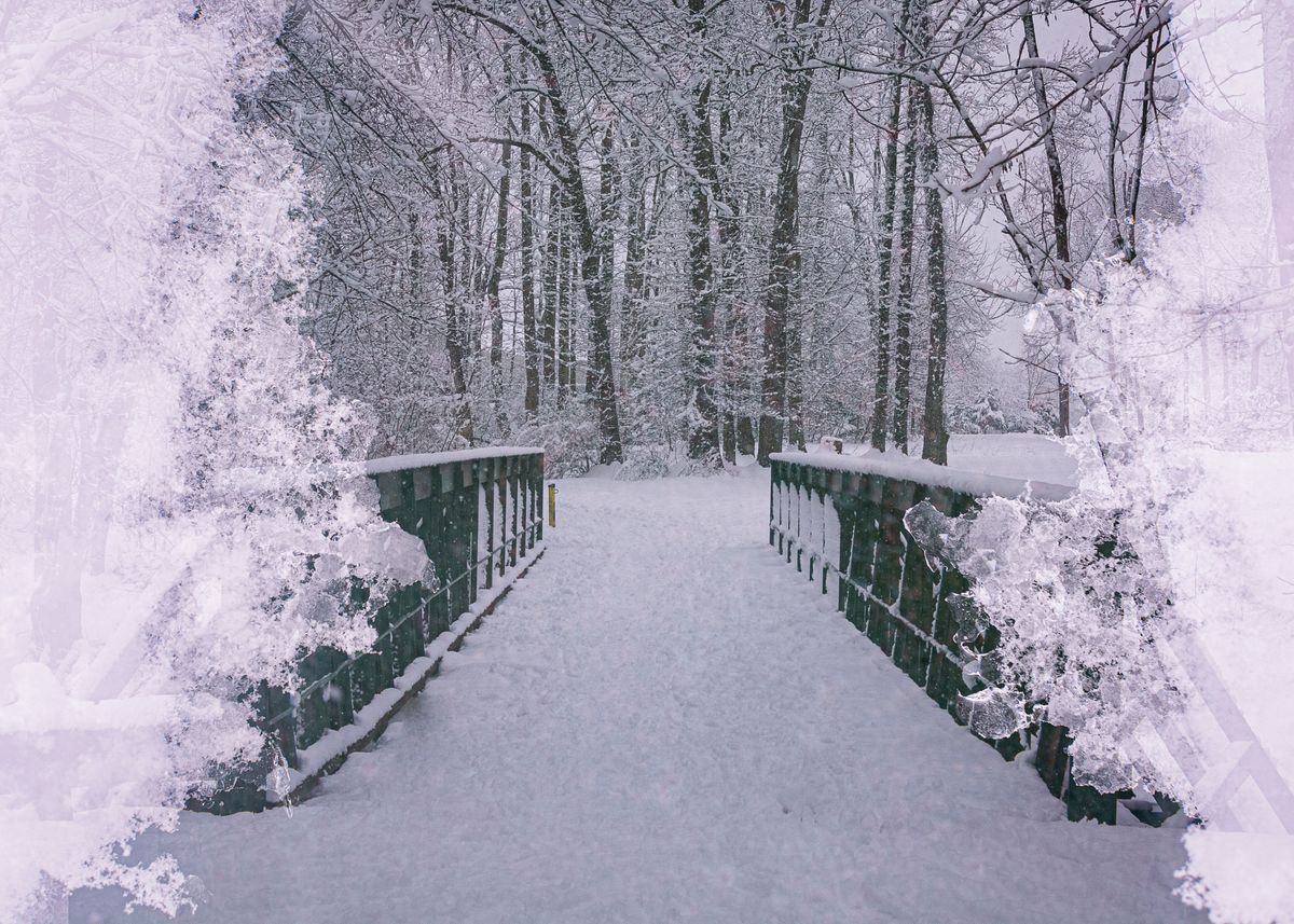 'Frostfall' Poster by Creative Excuses | Displate