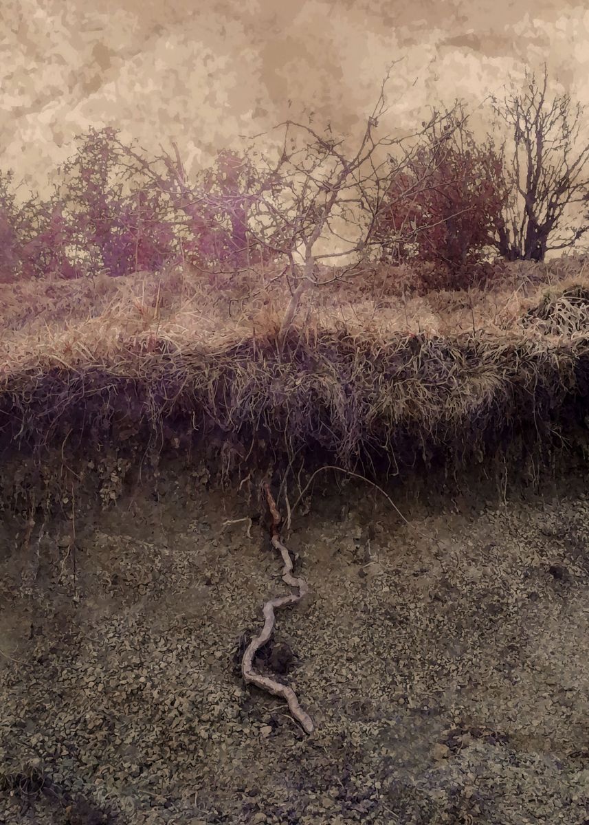 'Grounding roots' Poster, picture, metal print, paint by Edy Art Space ...