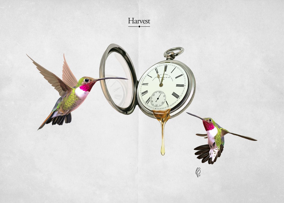 'Harvest' Poster by rob art | illustration | Displate