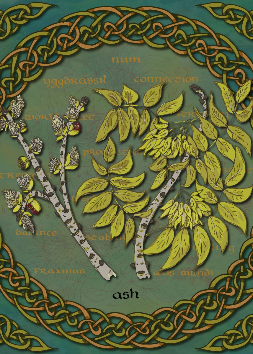 'Celtic Ash Tree' Poster, picture, metal print, paint by Lotti Brown ...