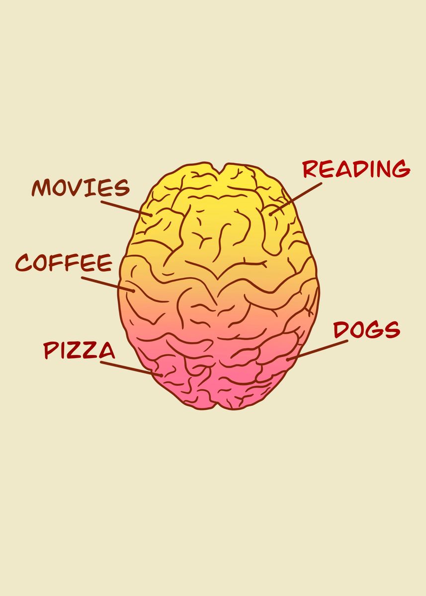 'Funny Brain Diagram ' Poster, picture, metal print, paint by ...