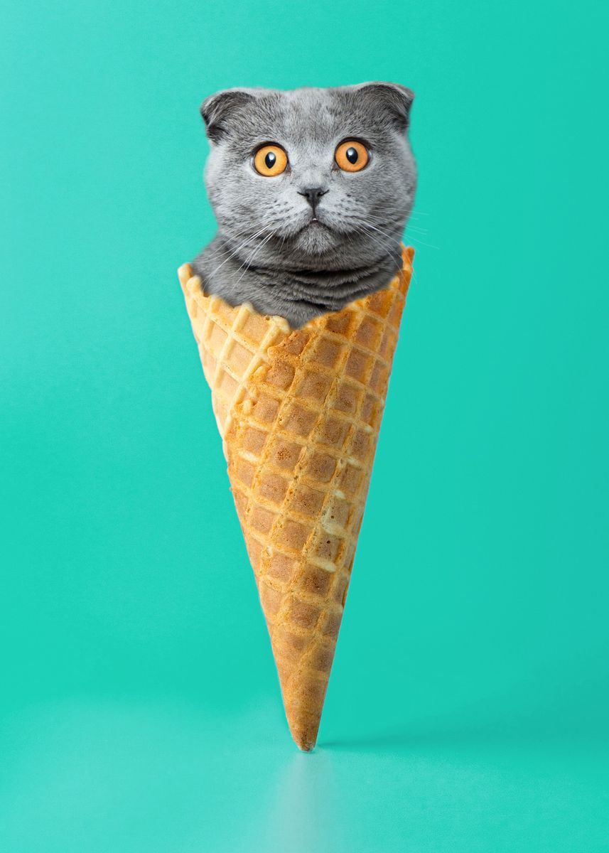 'Cat in the cone' Poster by Julia Rudens | Displate