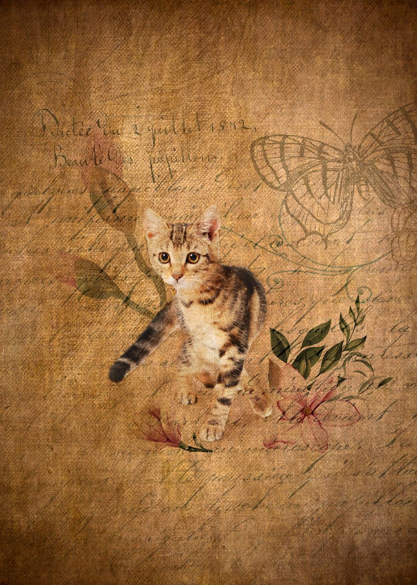 'Vintage Cat' Poster, picture, metal print, paint by Lucia ...