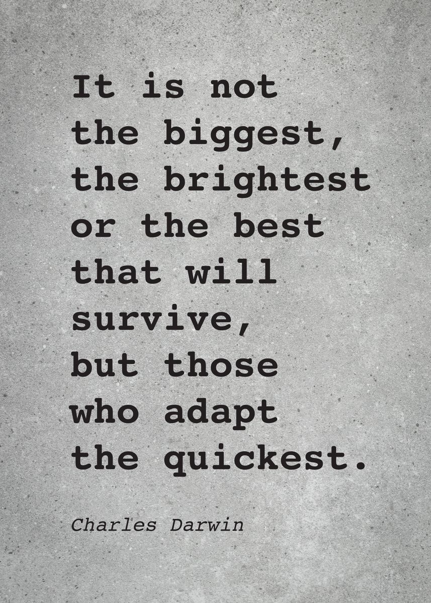 'Charles Darwin Quote L005' Poster by Go Fonix | Displate