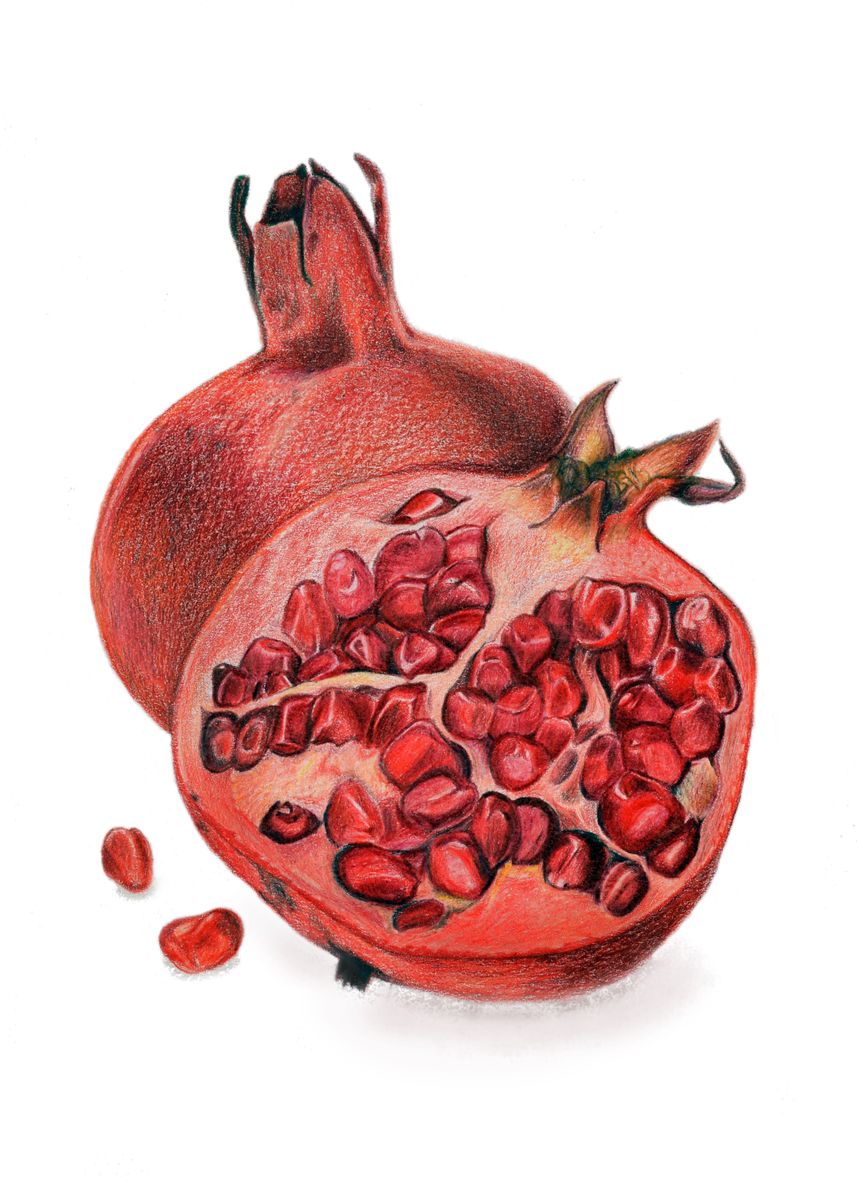 'Pomegranate with Seeds' Poster, picture, metal print, paint by Q ...
