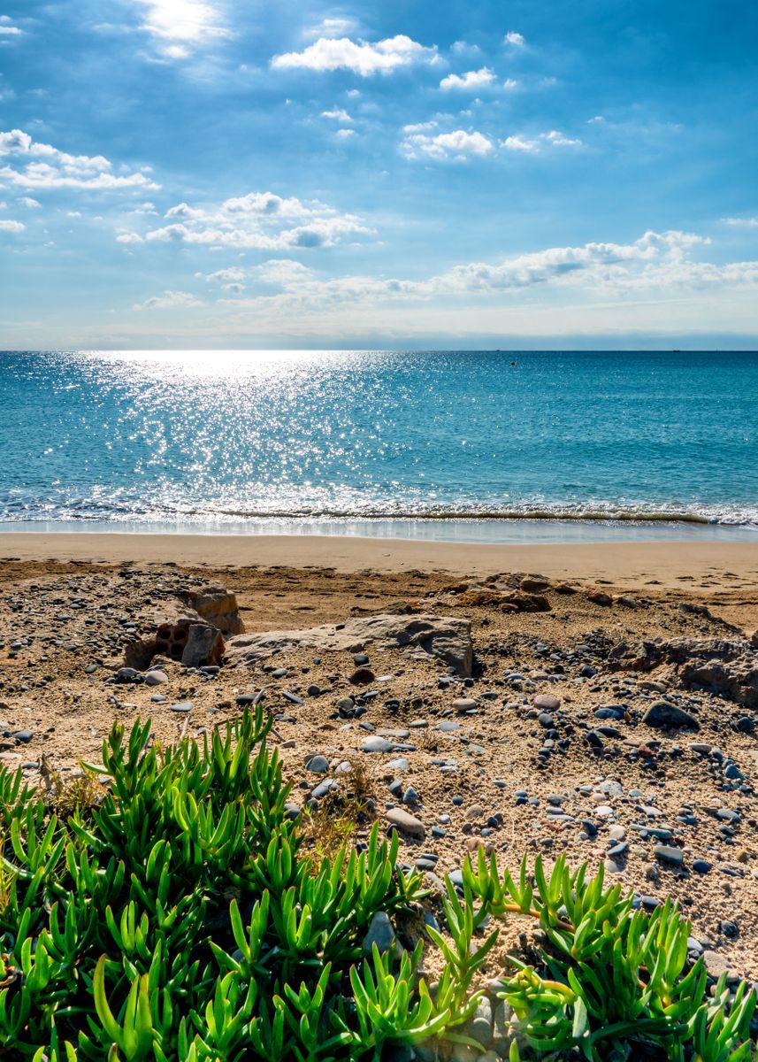 'sunny day ' Poster by Marc Kunze | Displate