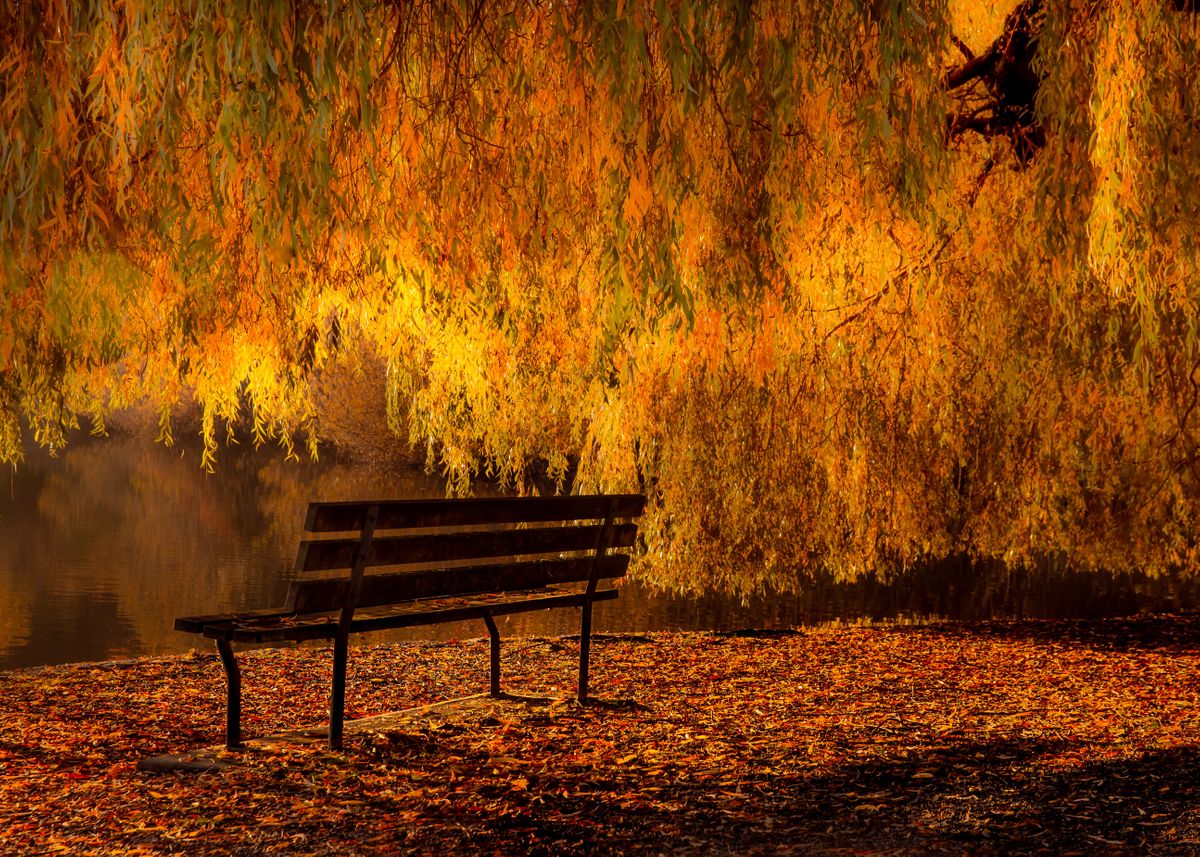 'Autumn bank ' Poster by Wiktor Borozdin | Displate