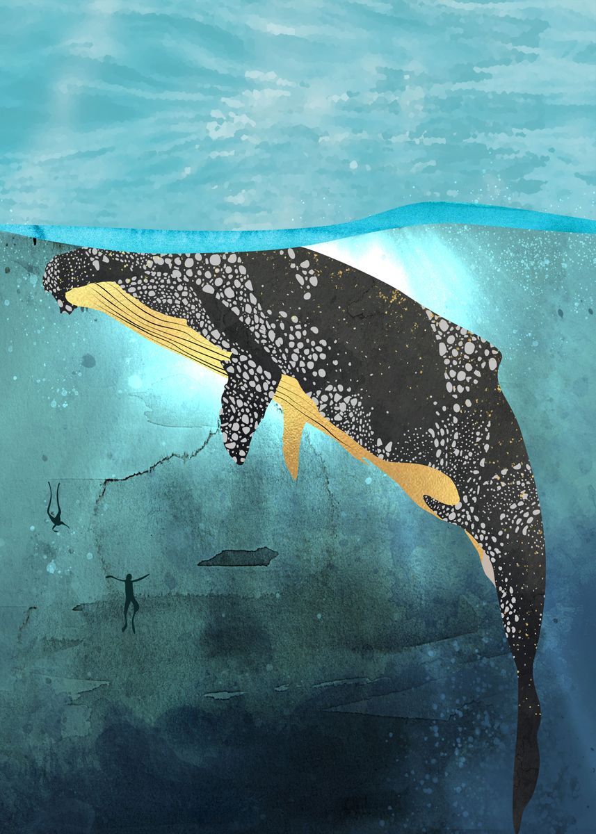 'Tohora' Poster, picture, metal print, paint by Polynesian Islands ...