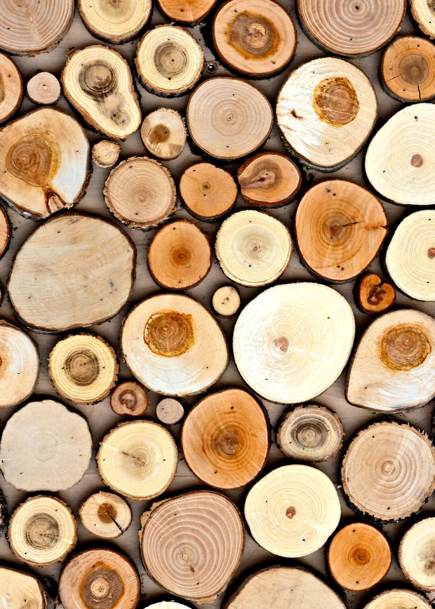 'Fun Of Wooden Clips' Poster by Art Ofphotos | Displate