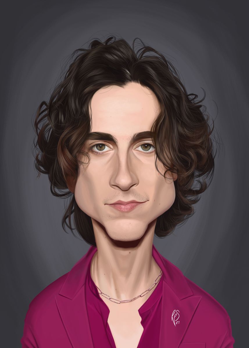 'Timothee Chalamet' Poster, picture, metal print, paint by rob art | illustration | Displate