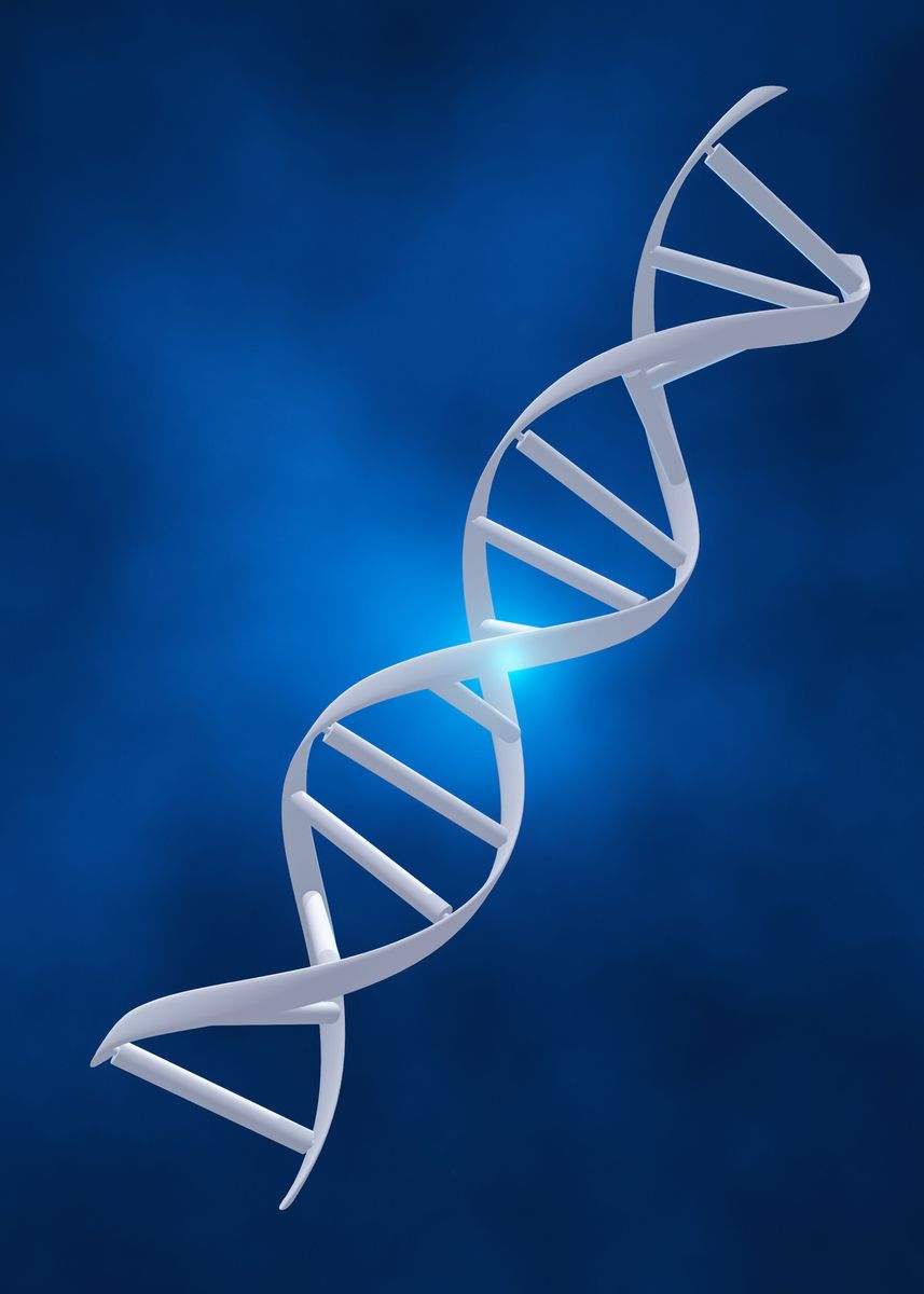 'DNA strand' Poster, picture, metal print, paint by Bruce Rolff | Displate