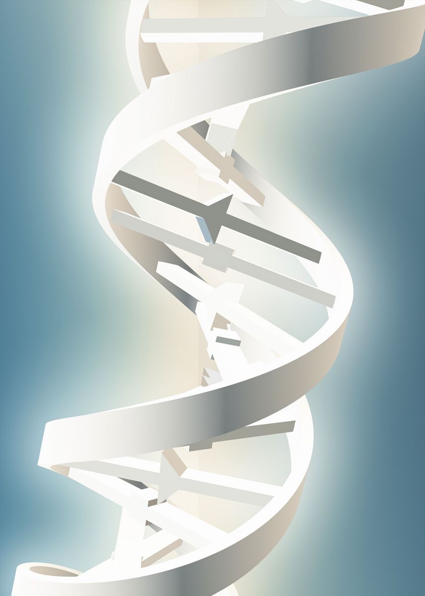 'DNA strand' Poster, picture, metal print, paint by Bruce Rolff | Displate