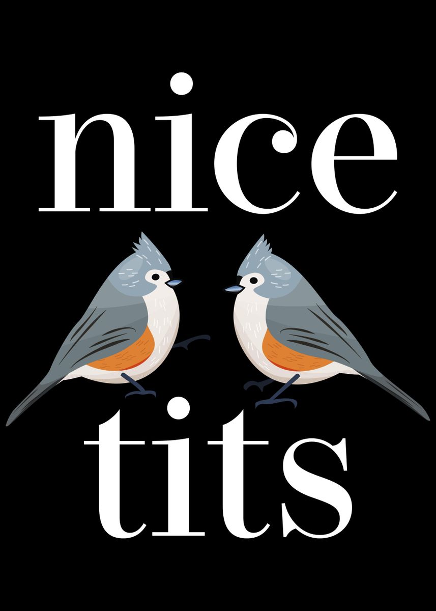 'Cute Tufted Titmouse Funny' Poster, picture, metal print, paint by ...
