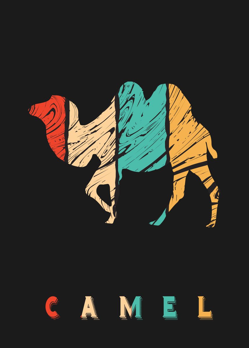 'Camel ' Poster, picture, metal print, paint by Bella | Displate