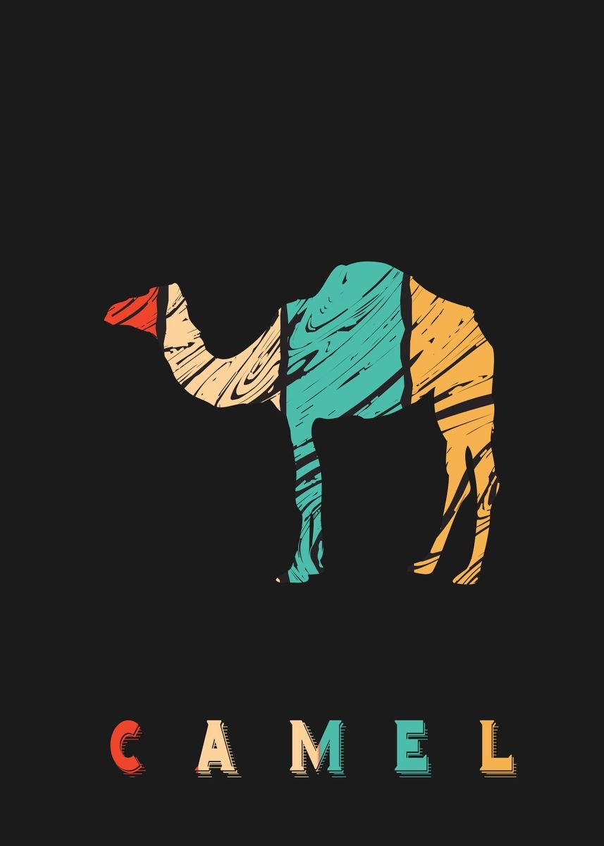 'Camel ' Poster, picture, metal print, paint by Bella | Displate