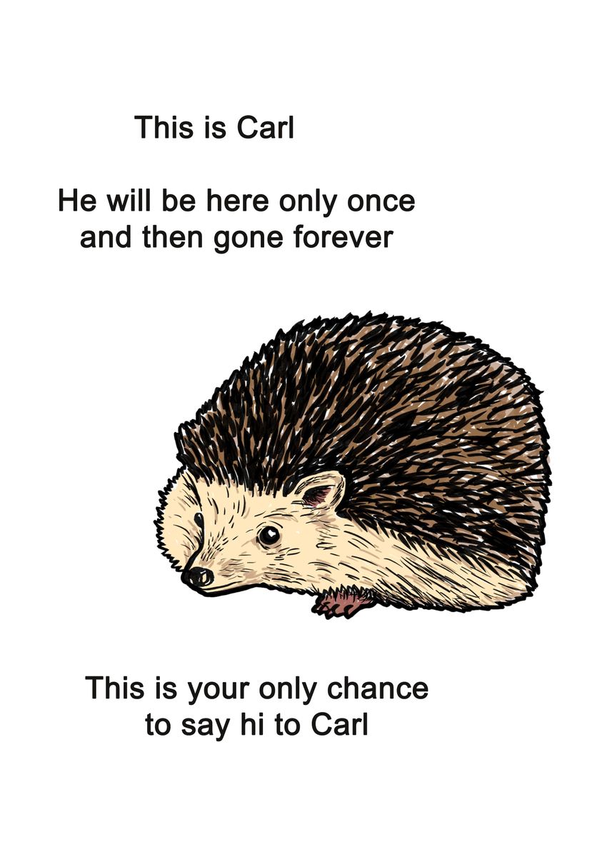 'Carl The Hedgehog Meme' Poster, picture, metal print, paint by Yipptee ...