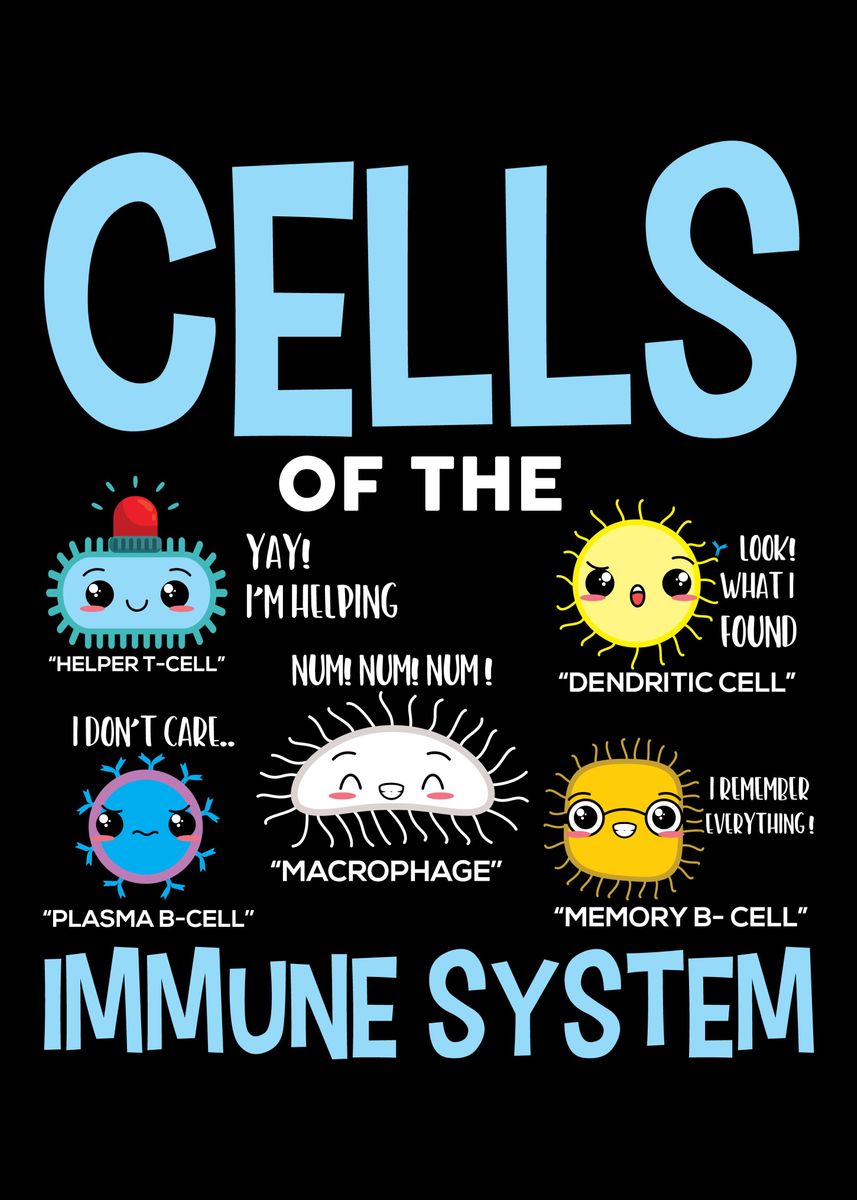 'Cells Of The Immune System' Poster, picture, metal print, paint by ...
