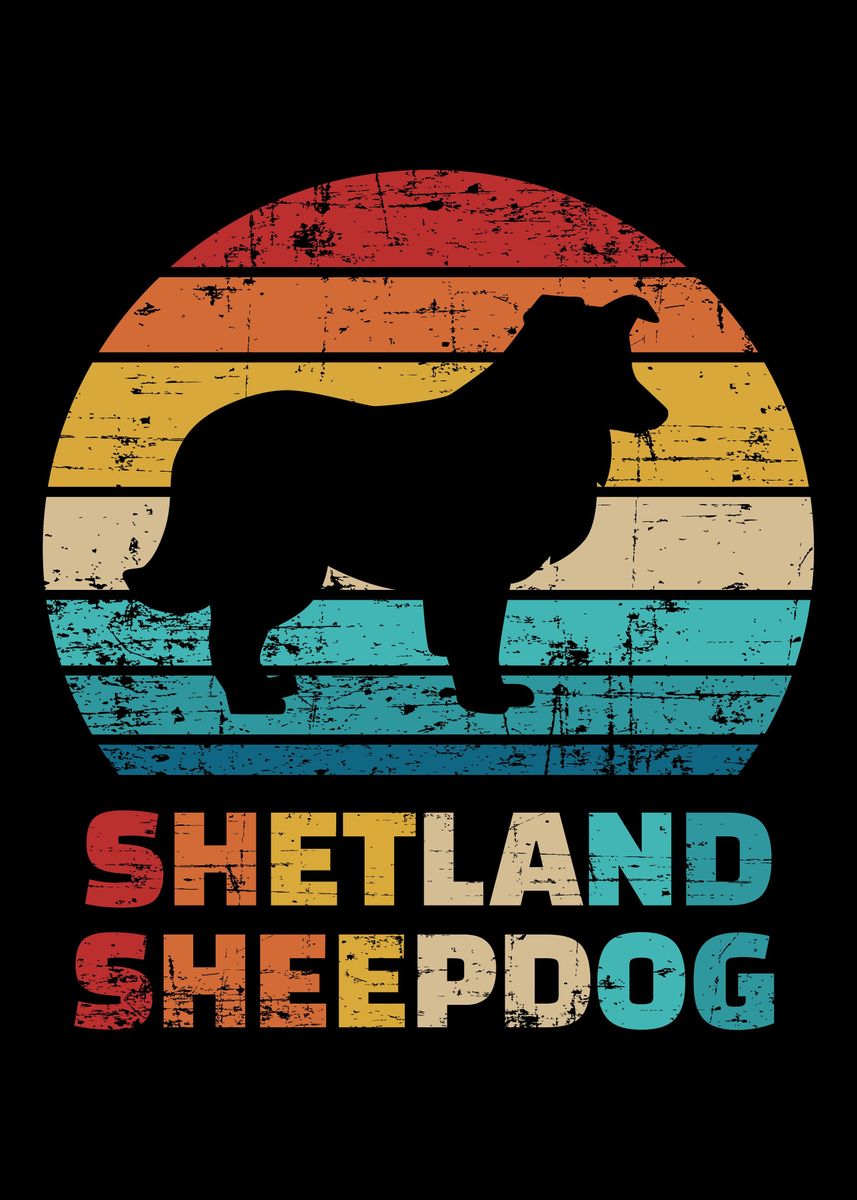 'Shetland Sheepdog' Poster, picture, metal print, paint by Designzz ...