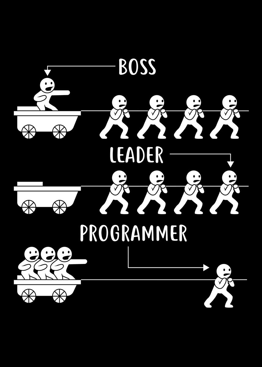 'Programmer Developer Coder' Poster, picture, metal print, paint by ...